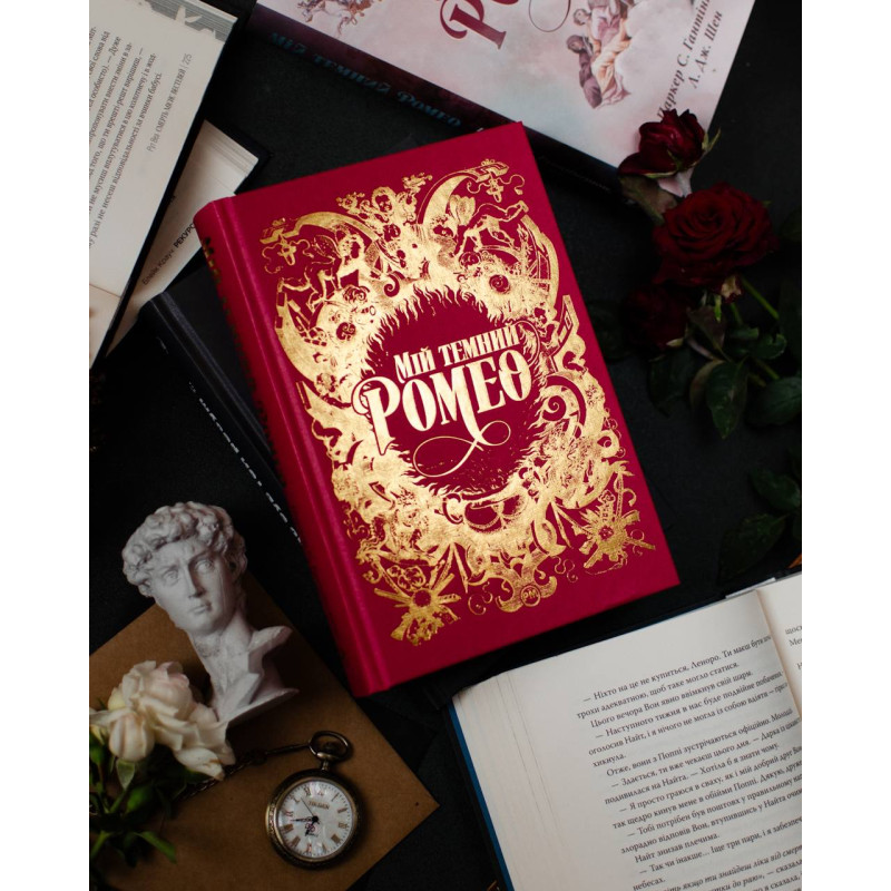 Мій темний Ромео. Шен Л.Дж. 978-617-8373-66-5 — купити за 637.50 грн грн в інтернет-магазині ARFA